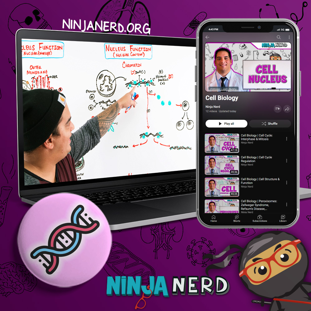 What's New - Ninja Nerd